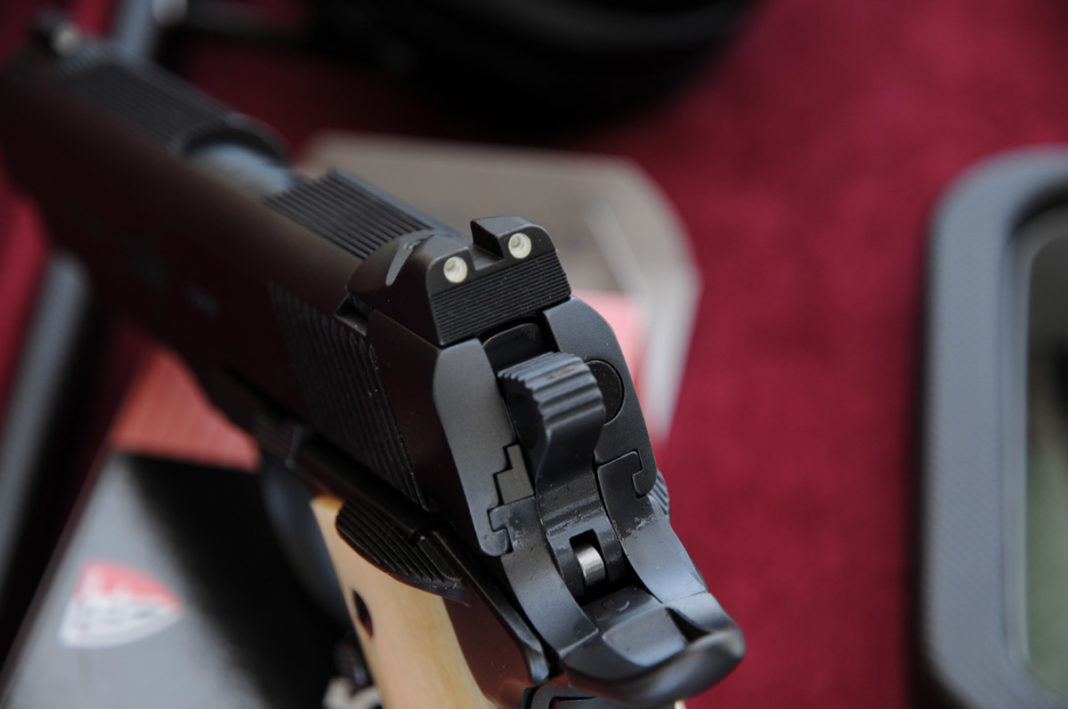 Kimber Classic Carry Pro, eleganza in .45 Acp - Armi Magazine